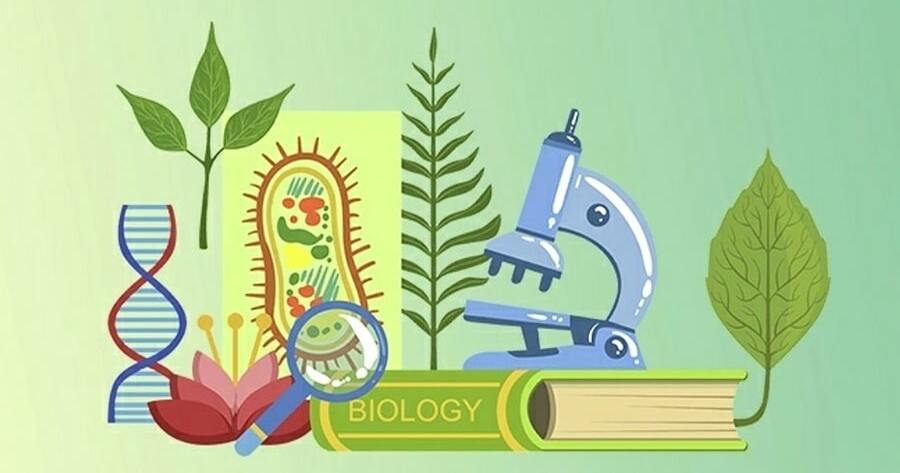 Конспект уроку Риби — водні тварини Біологія 7 клас До підручника Андерсон О А Вихренко М