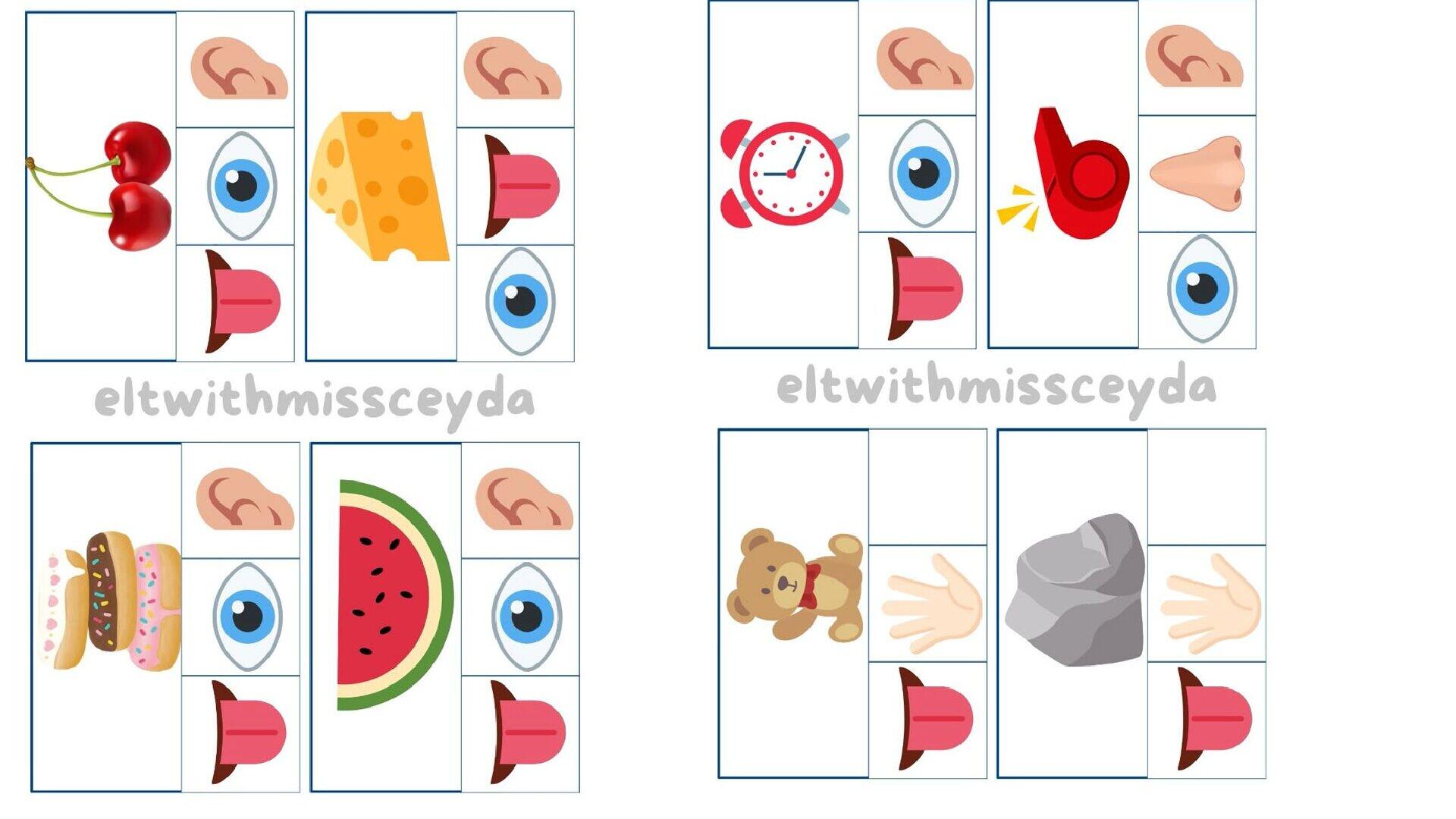 "Capybara's Fun Day" – Shapes, Body Parts & Five Senses | . Різне