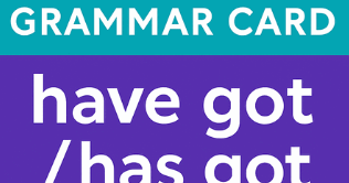 Have / Has got – Grammar Practice Cards | Інші методичні матеріали ...