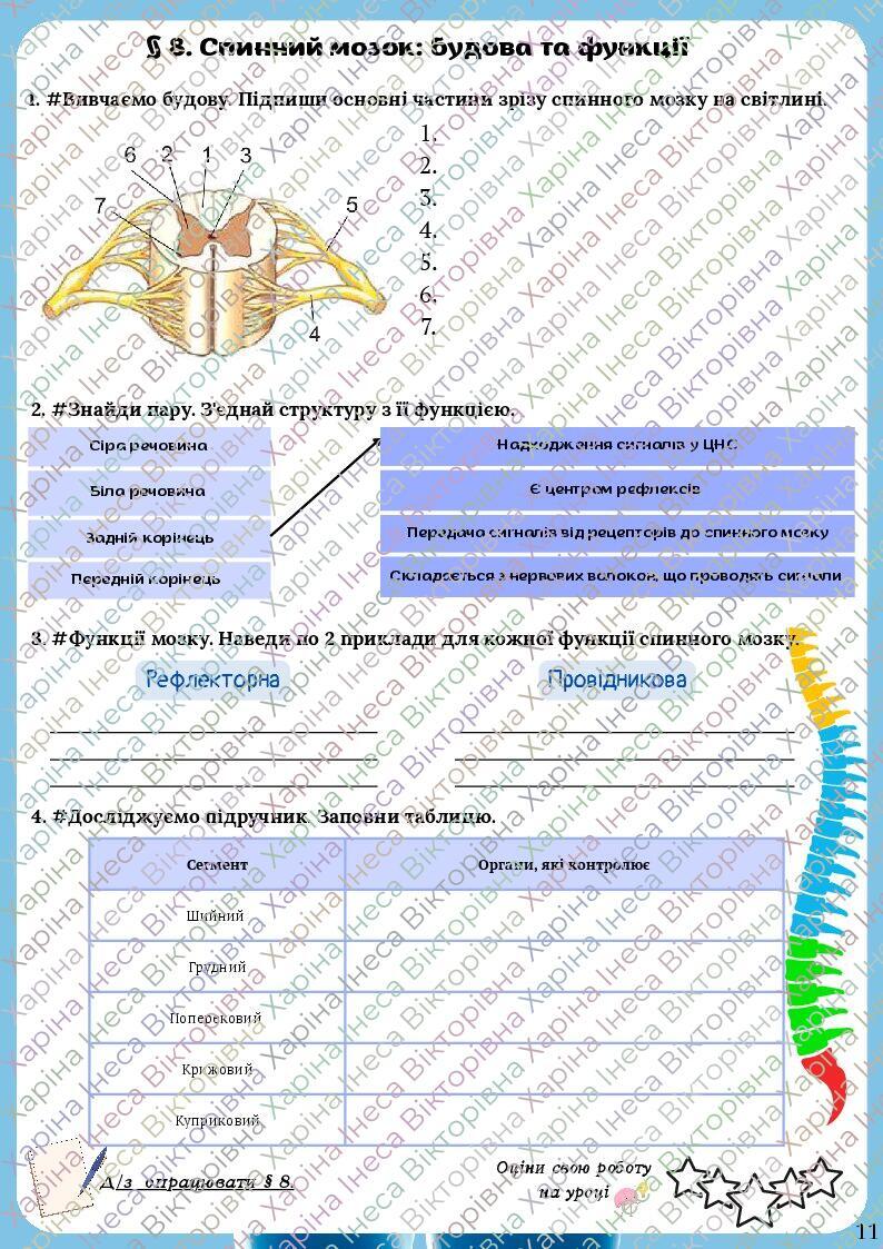 Робочий зошит з біології 8 клас НУШ на І семестр за підручником П ...