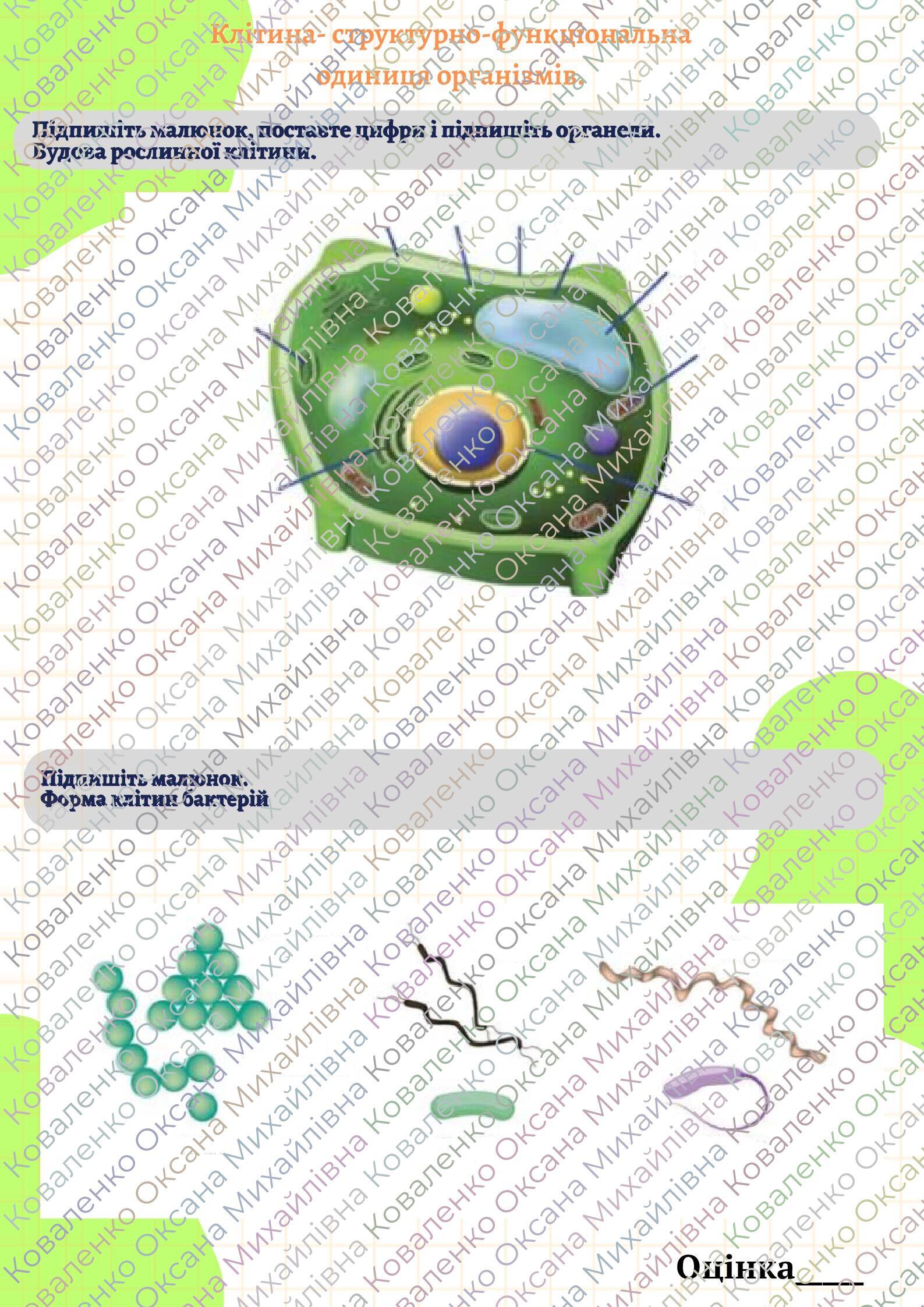Узагальнення з теми «Клітина — структурно-функціональна одиниця організмів. Прокаріоти ...